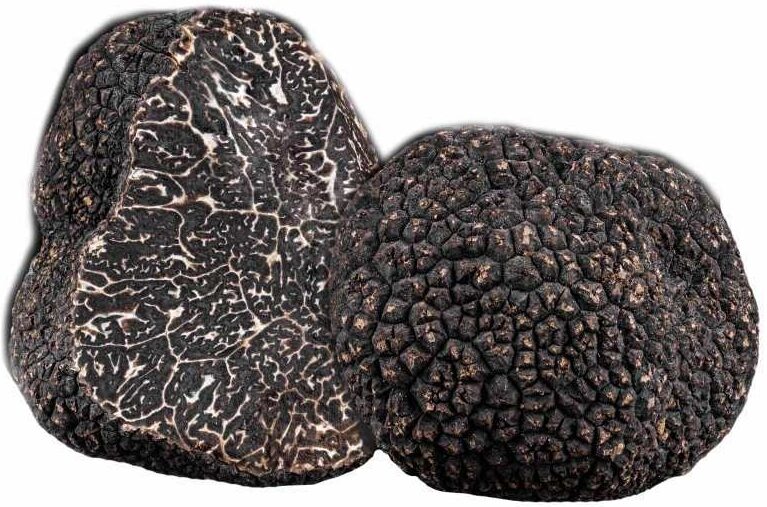 Truffle Menu 2026 - Le Clos de la Ribaudière